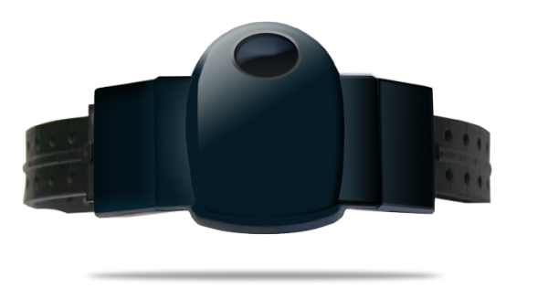 RF Solutions - Securus Monitoring